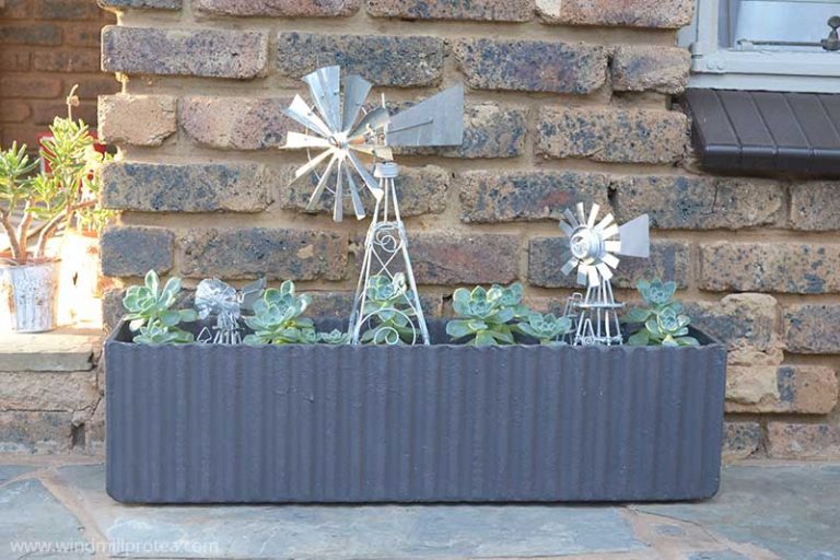 How To Quickly Update An Outdoor Planter - Windmill & Protea